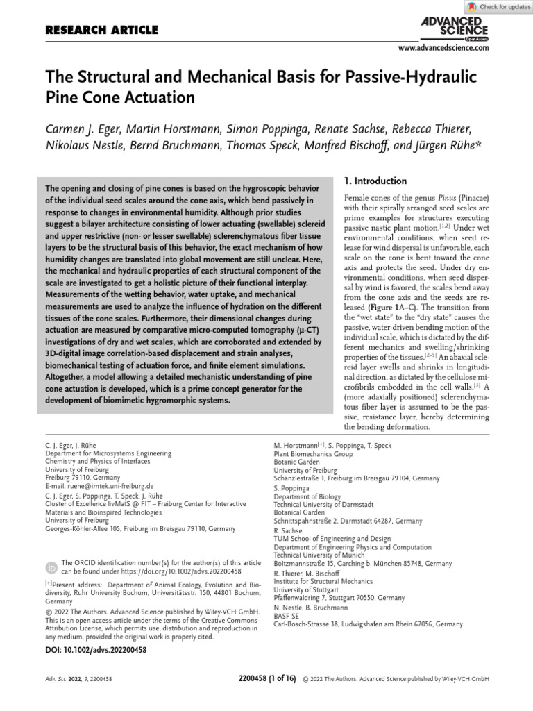 Advanced Science - 2022 - Eger - The Structural and Mechanical Basis For Passive Hydraulic Pine ...