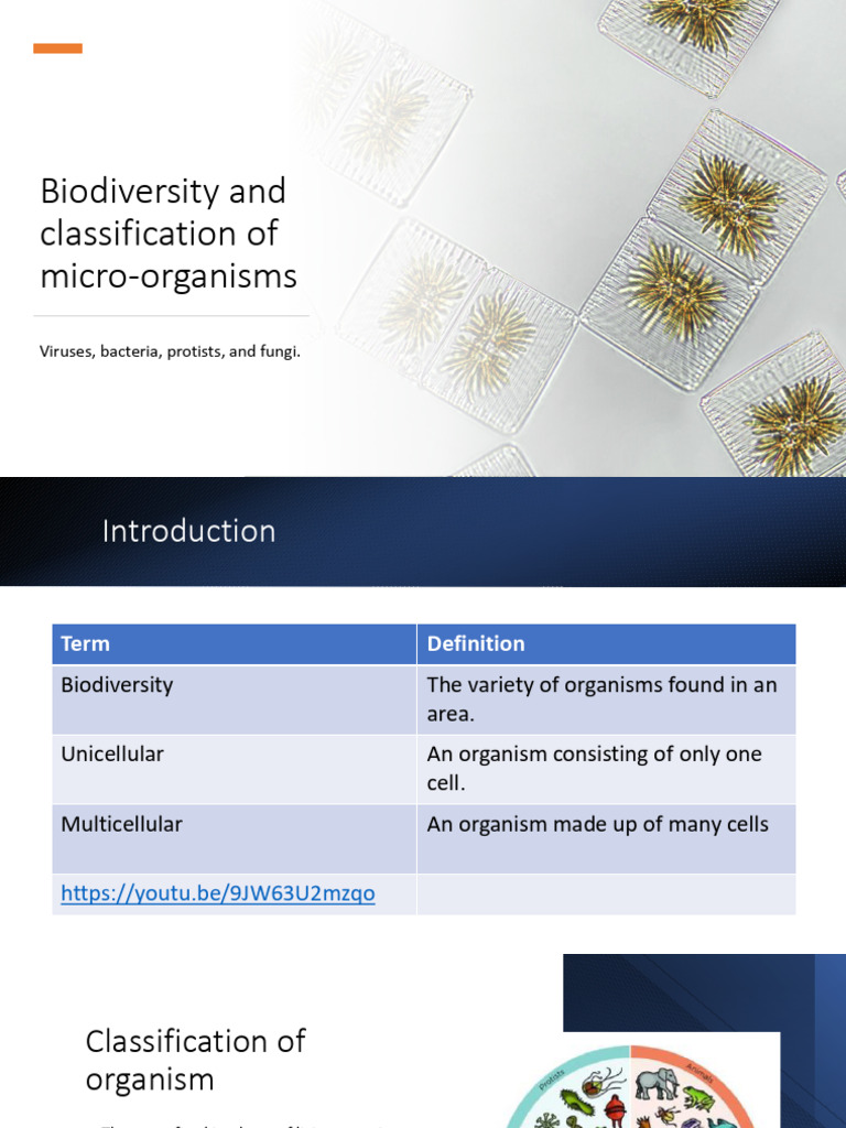 Biodiversity and Classification of Micro-Organisms | PDF | Bacteria ...