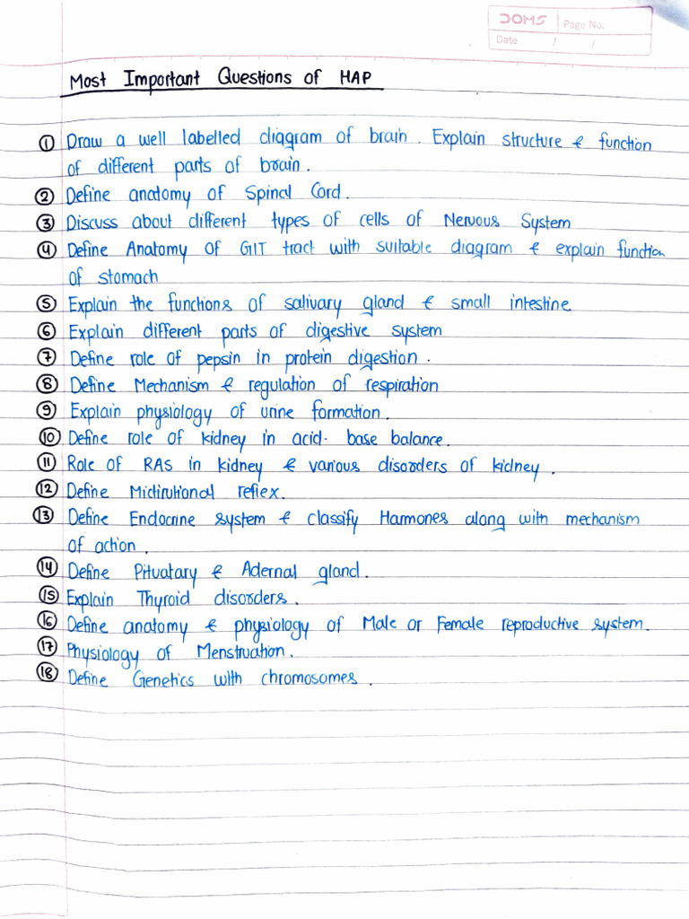 Key Concepts in Human Anatomy and Physiology | PDF
