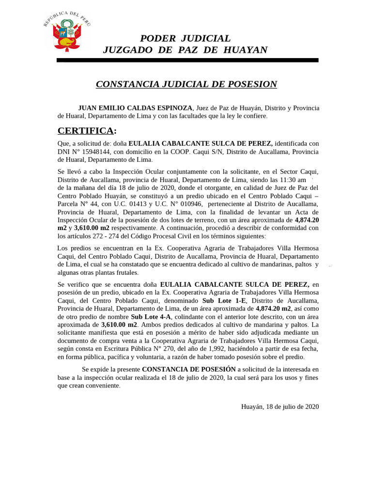 CONSTANCIA JUDICIAL- EULALIA CABALCANTE | PDF | Separación de poderes | Ley Pública