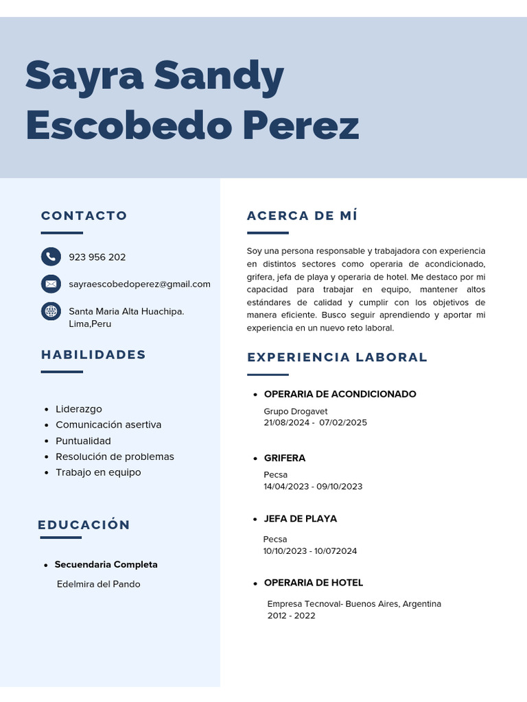 Sayra CV | PDF