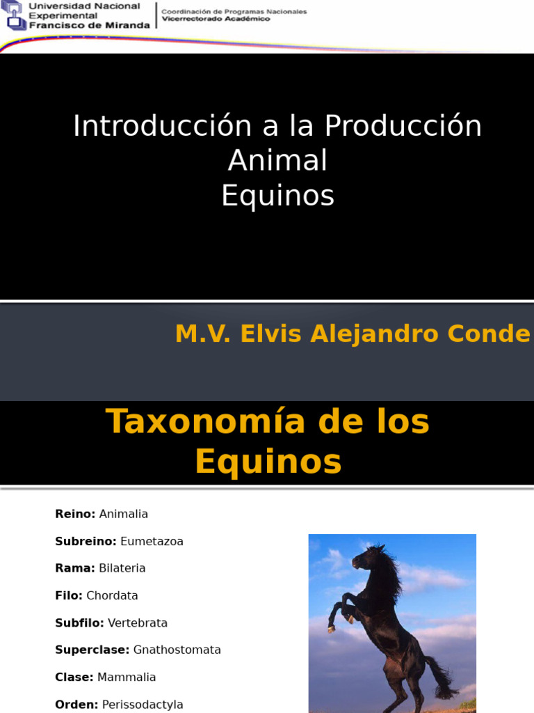 Clase 2 Equinos | PDF | Caballos | Equus (Género)