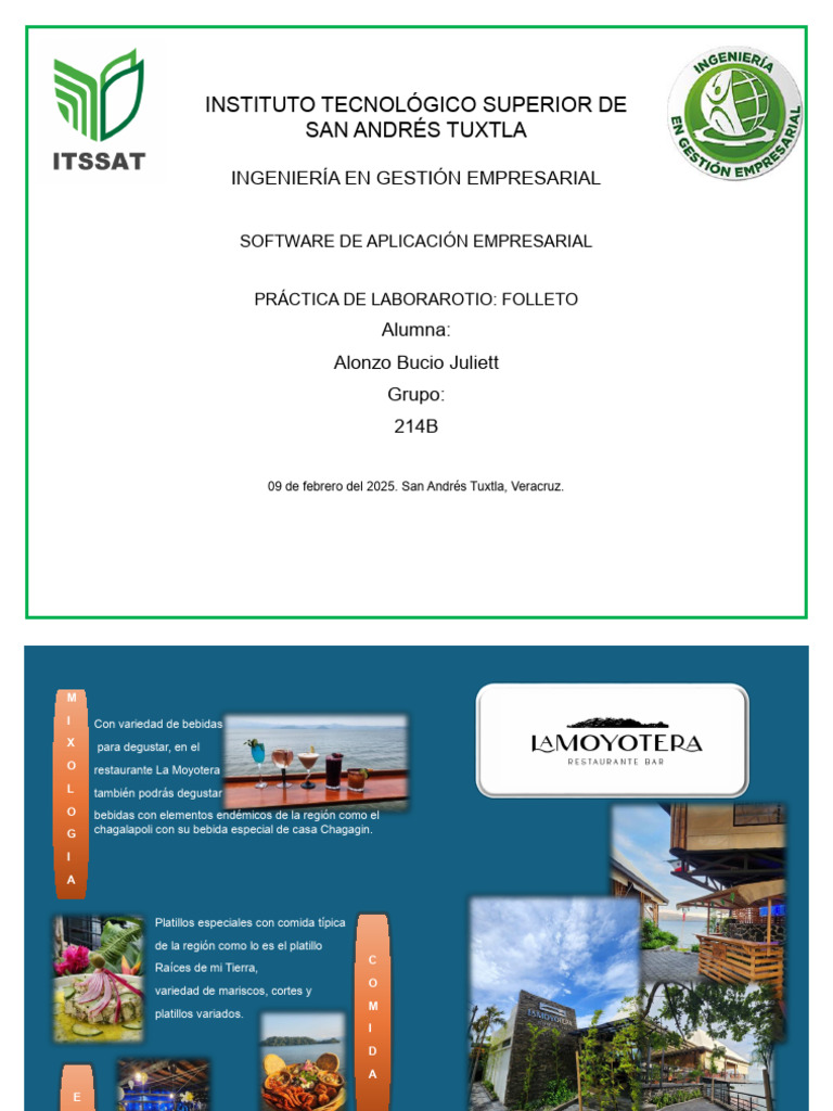 Practica 2. Folleto Alonzo Bucio Juliett 214B | PDF
