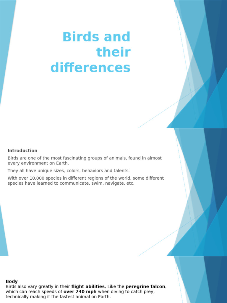 Birds and Their Differences | PDF