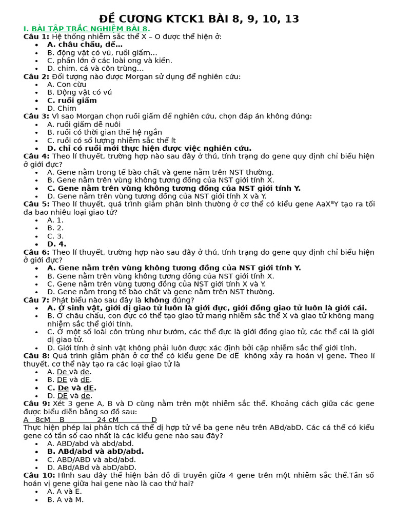 Đề Cương Ktck1 Bài 8 | PDF