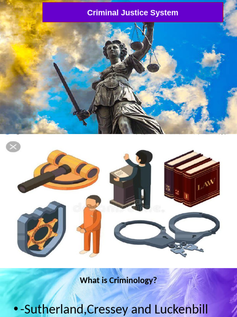 Overview of the Criminal Justice System | PDF | Pardon | Prosecutor