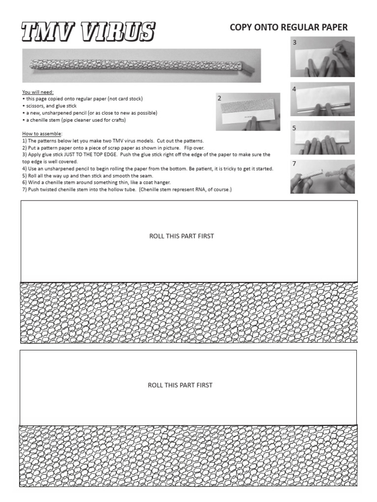 DIY TMV and Phage Virus Models | PDF