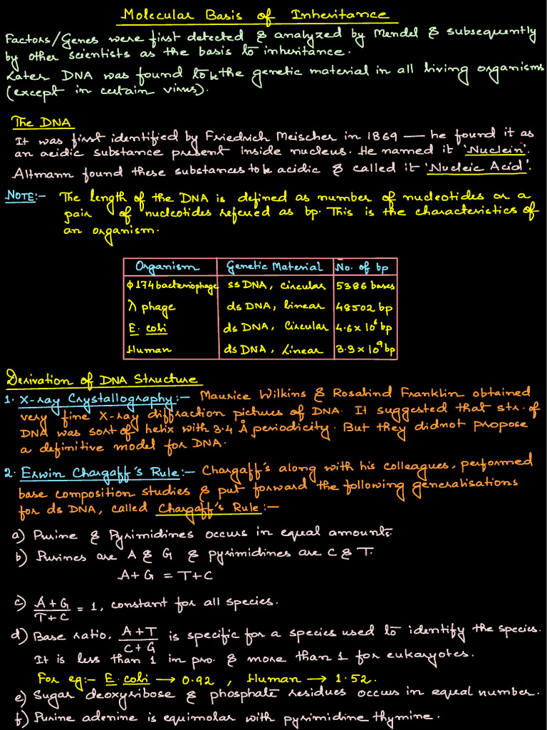 Molecular Basis of Inheritance Class Notes | PDF
