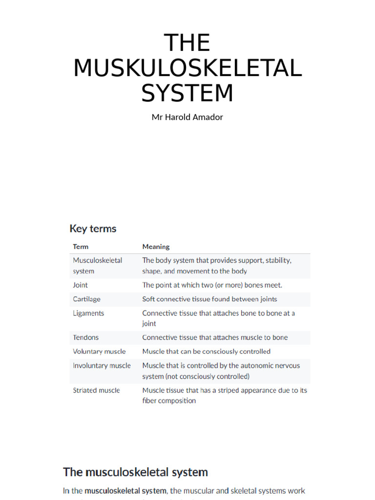 The Musculoskeletal System | PDF | Skeleton | Human Musculoskeletal System