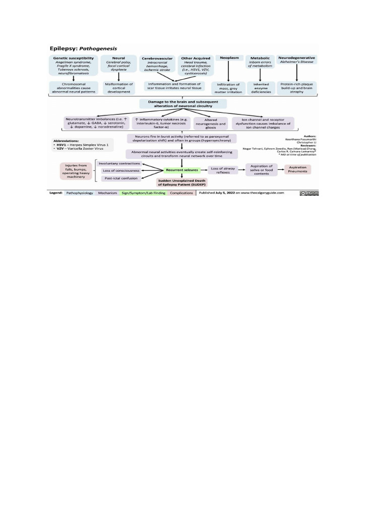 Patho of Epi | PDF