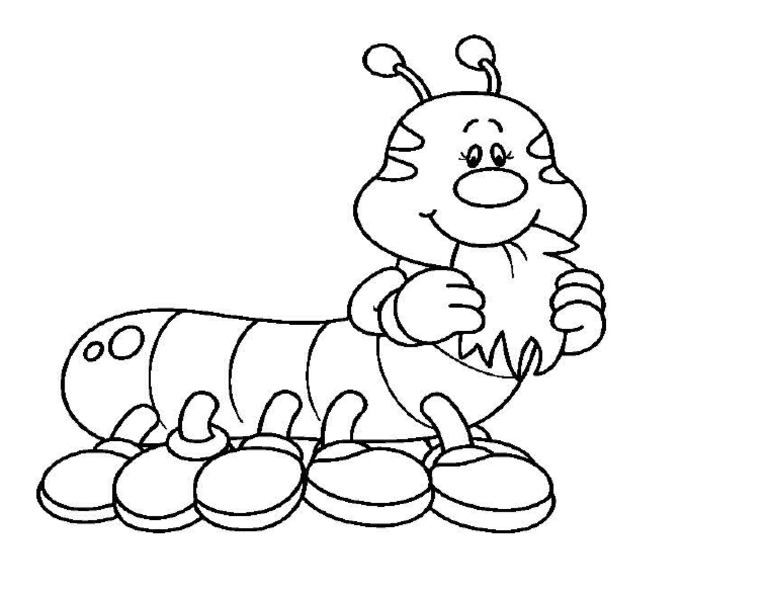 Cuncuna | PDF