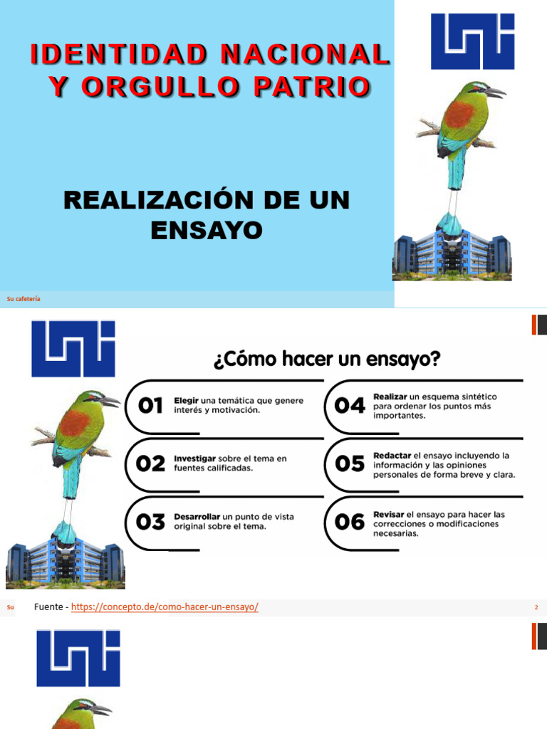 Cómo hacer un ensayo sobre identidad nacional | PDF