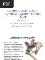 Hagos Hip and Groin Questionnaire | PDF
