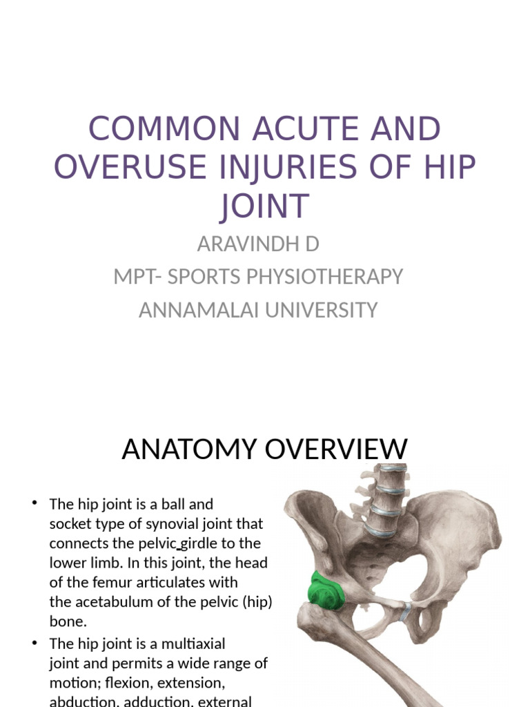 Common Acute and Overuse Injuries of Hip Joint | PDF | Hip | Anatomical ...