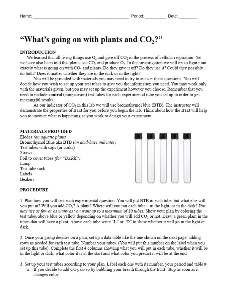 P 02 Photosynthesis Lab | PDF | Experiment | Photosynthesis