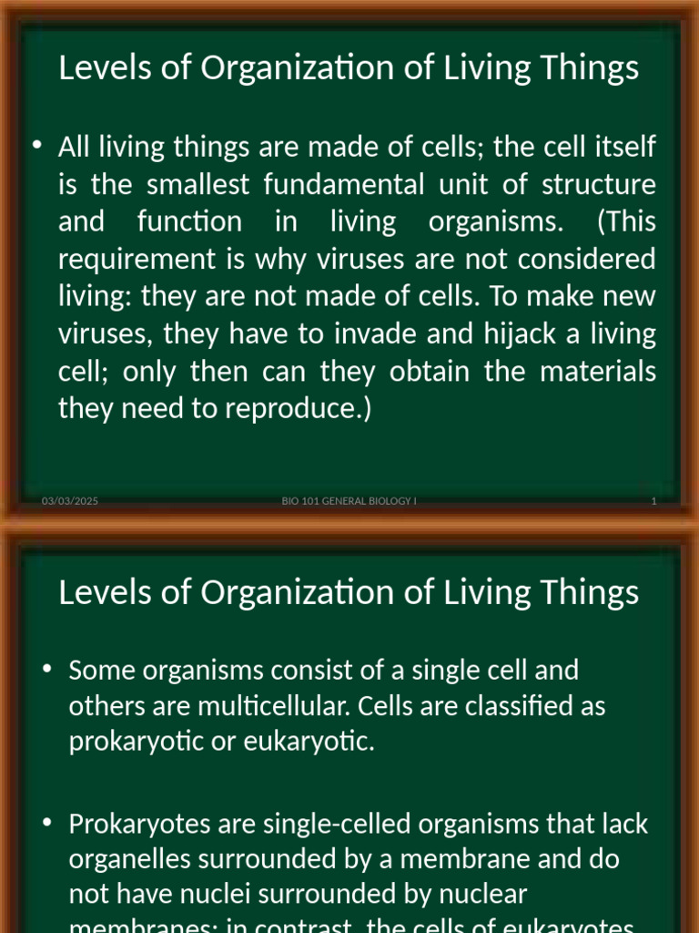 Bio Lecture Slides 2 | PDF | Cell (Biology) | Eukaryotes
