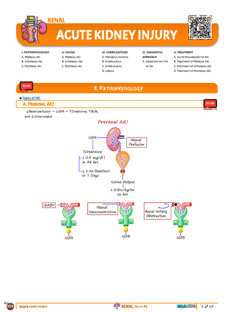 Acute Kidney Injury [Notes] | PDF | Kidney | Shock (Circulatory)
