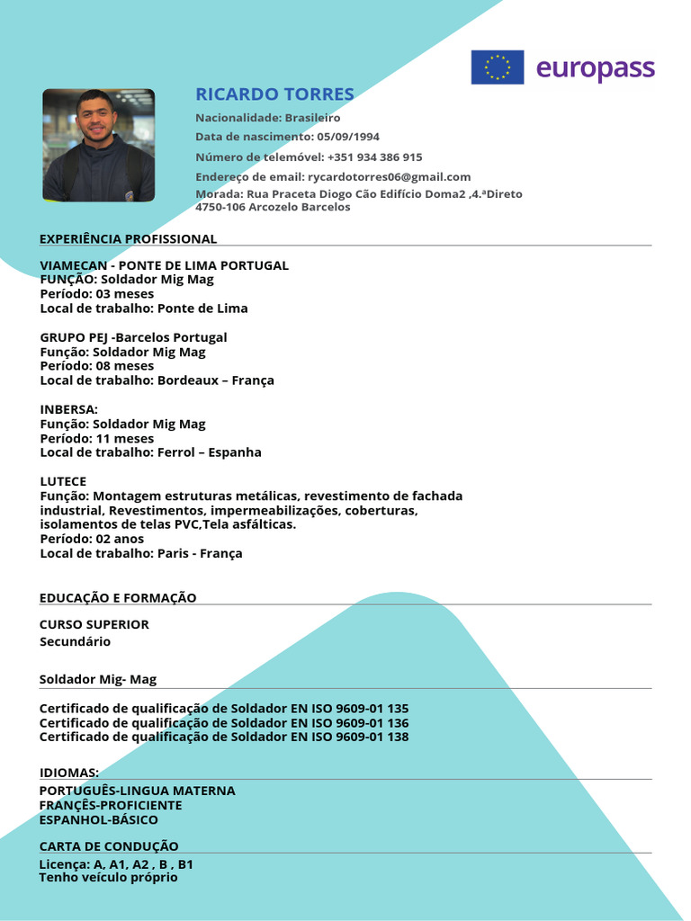 Currículo 2025 Ricardo Torres | PDF