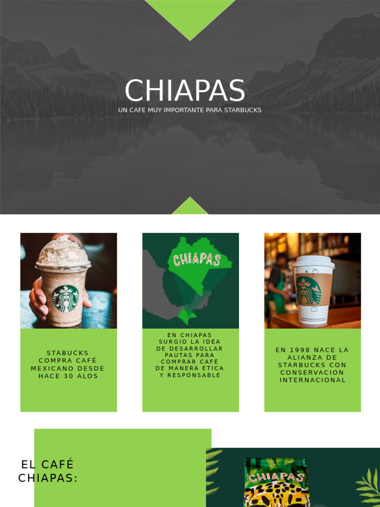 Chiapas | PDF