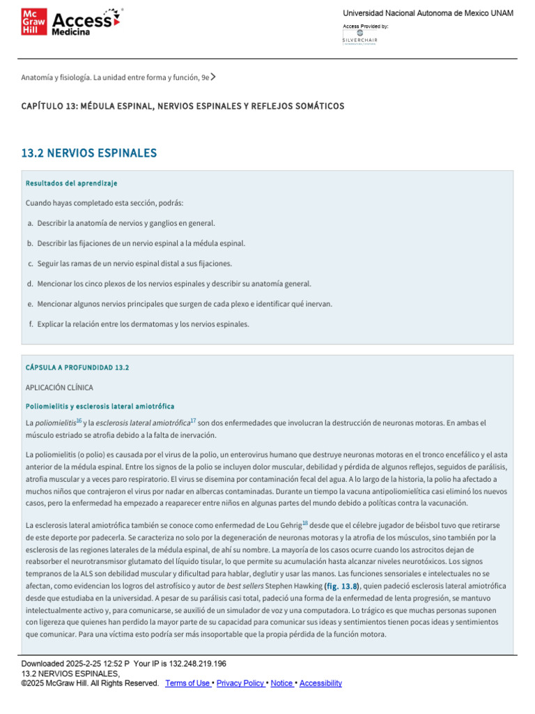 13.2 Nervios Espinales | PDF | Nervio | Médula espinal