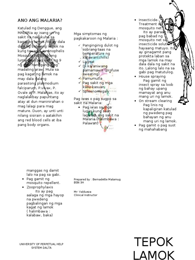 Leaflets Malaria | PDF
