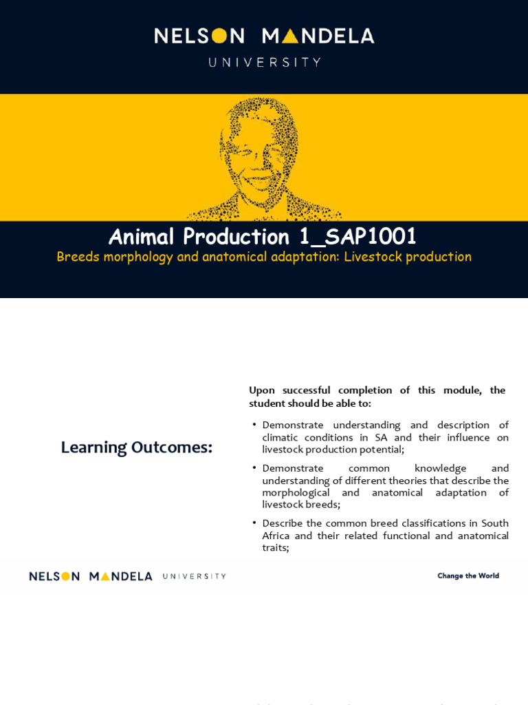 Lesson#1.3_Breeds Morphology and Anatomical Adaptation | PDF | Pig ...