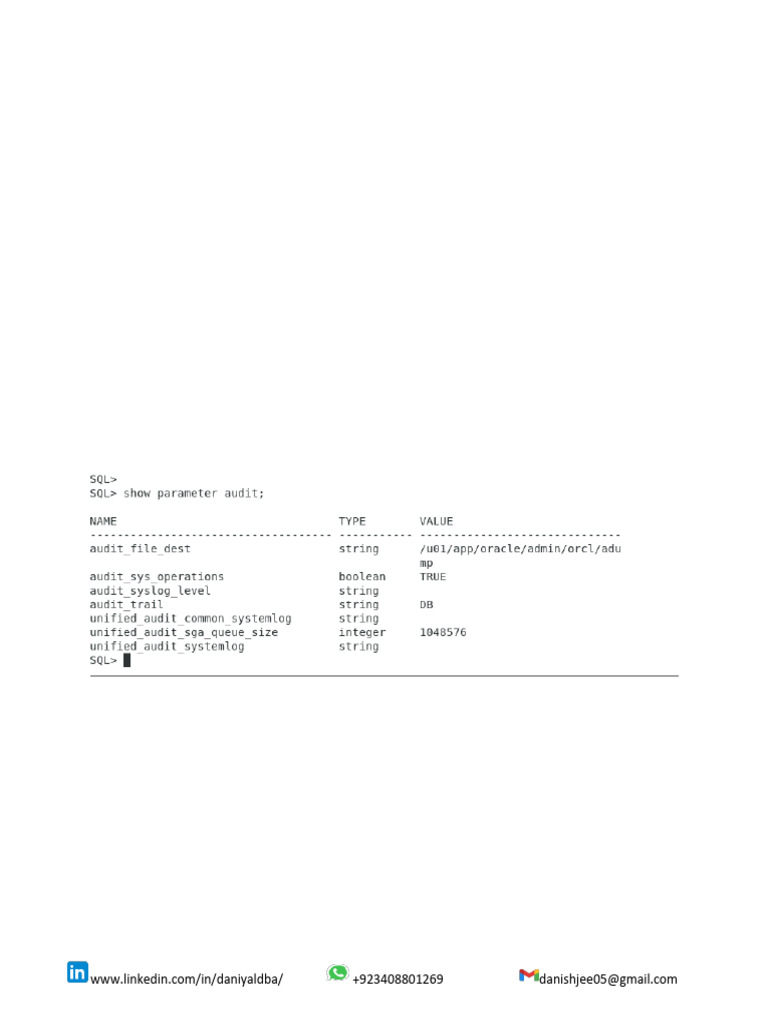 Oracle Database Auditing Guide | PDF | Databases | Table (Database)