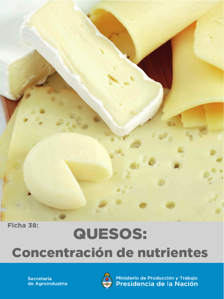 Ficha 38 Quesos | PDF | Queso | Productos lácteos