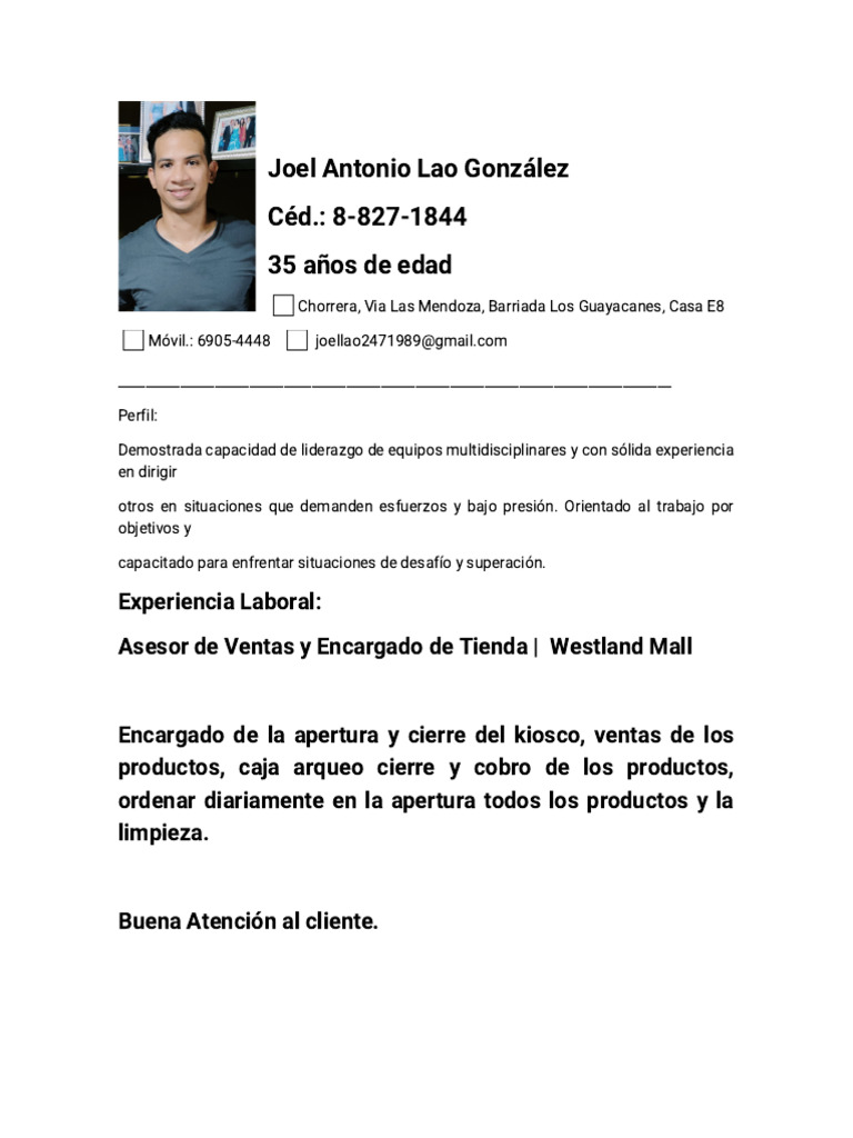 Currículum Joel Lao Actualizado | PDF