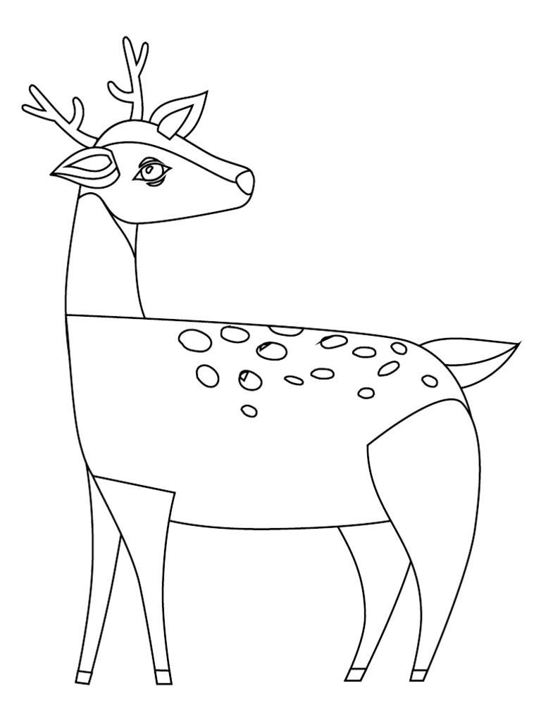 Deer Activities (20 Pages) | PDF