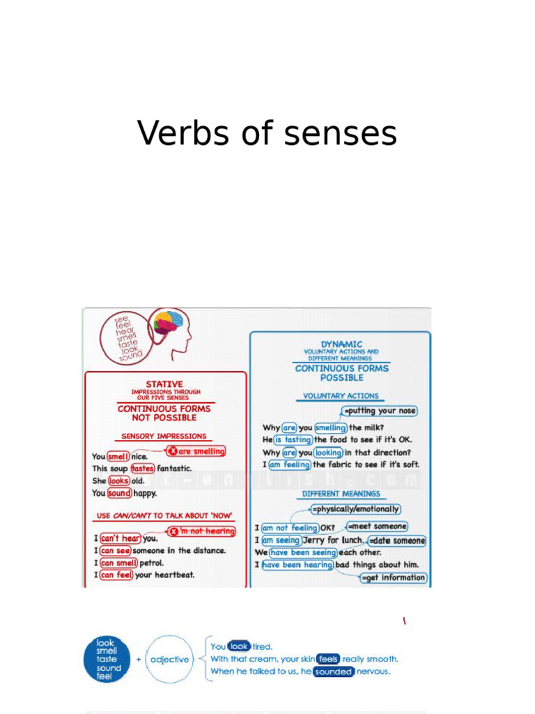 Verbs of Senses | PDF