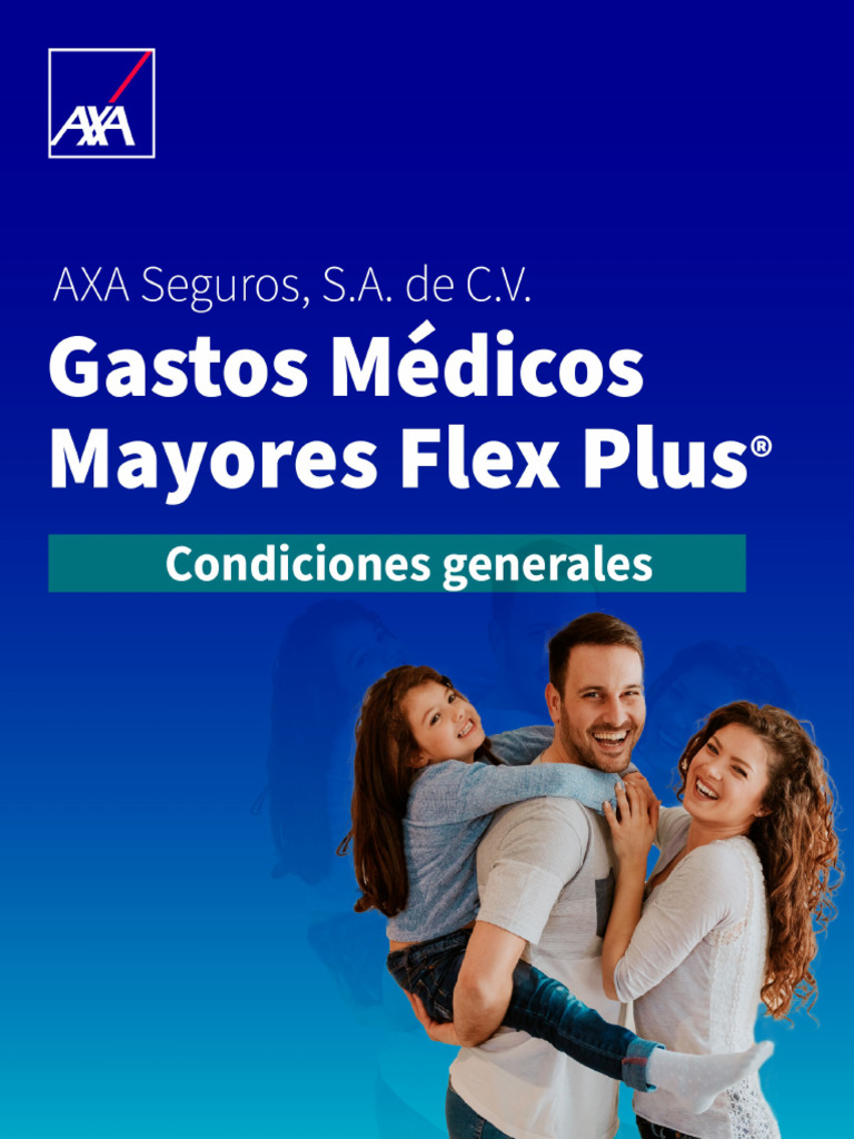 GM - FlexPlus - CG - 2024 - AI287 - AGOSTO2024 V Anexo 5 1 | PDF ...