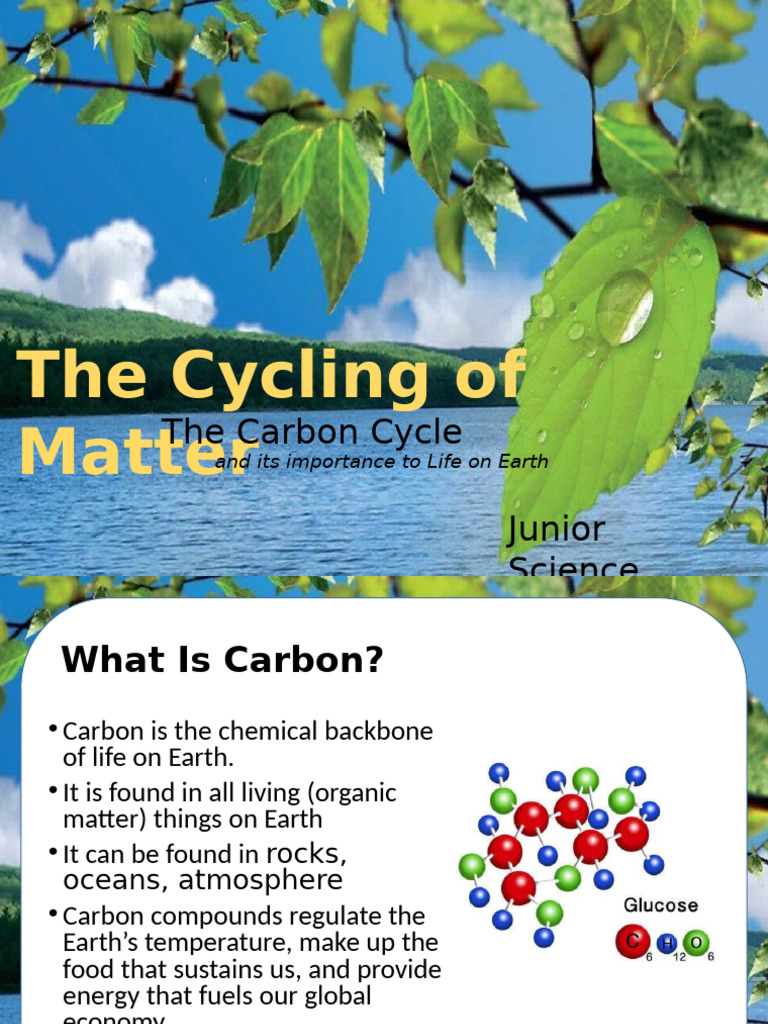 Es05 Cycling of Matter - Carbon Cycle | PDF | Carbon Cycle | Soil