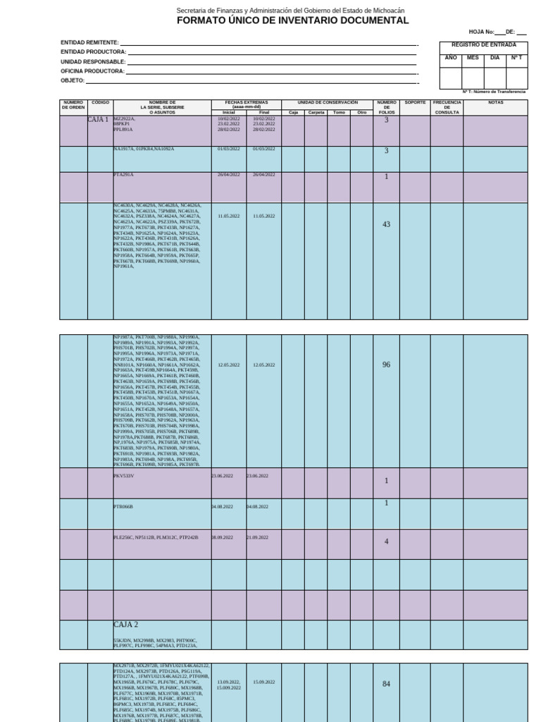 Formato Único de Inventario borrador | PDF