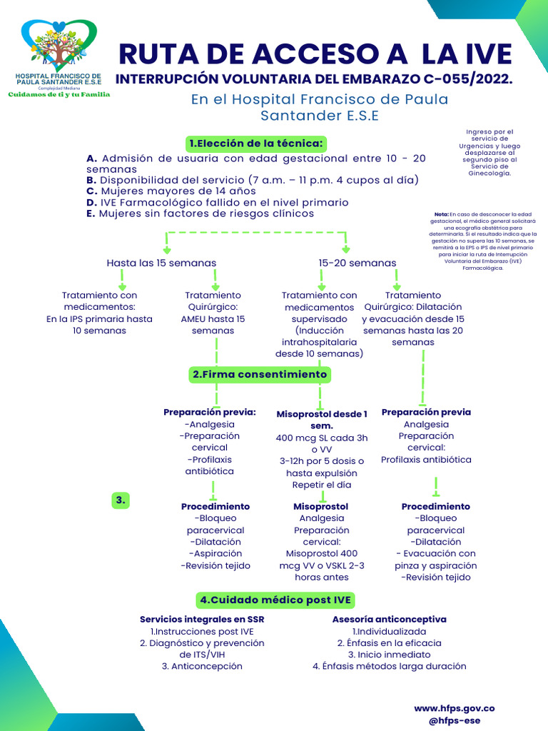Ruta Ive | PDF | Aborto | Derechos reproductivos
