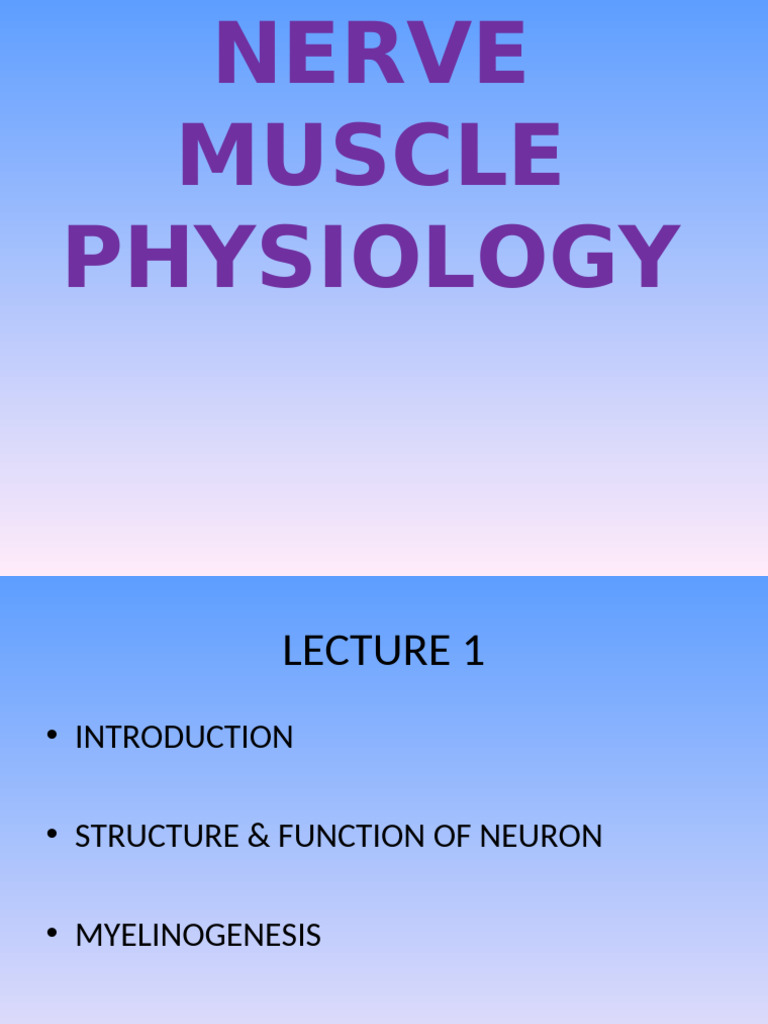 Neuron Structure and Function Overview | PDF | Axon | Myelin
