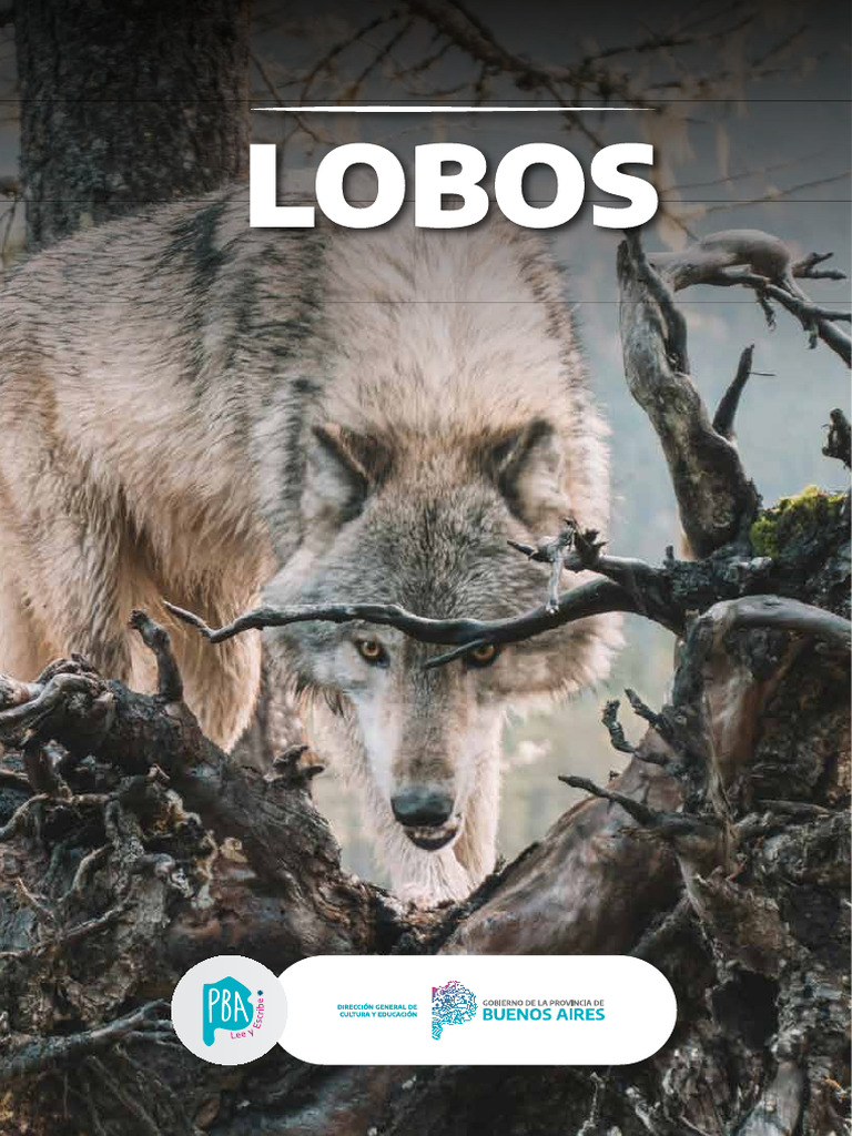 Lobos Continuemos Estudiando | PDF | Zoología