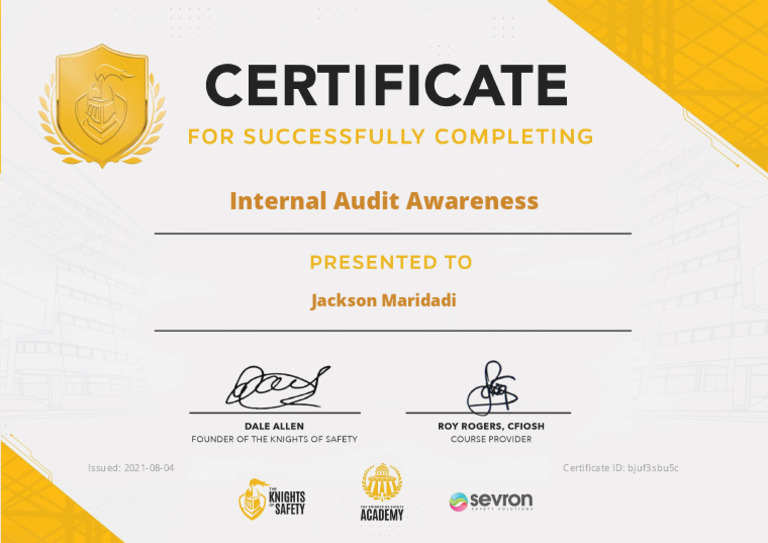 Internal Audit Awareness | PDF