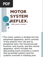 Pyramidal Weakness. Practical Neurology | PDF | Anatomical Terms Of ...