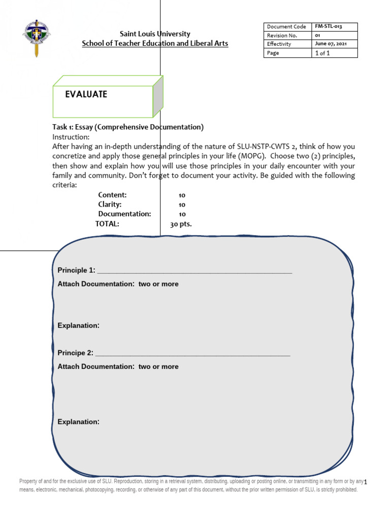 Module 1 Evaluate Task 1 Comprehensive Documentation | PDF