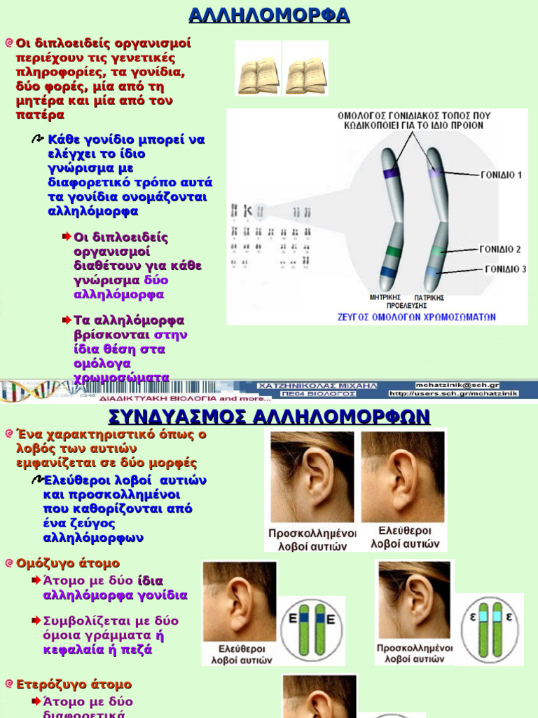 Alilomorfa | PDF