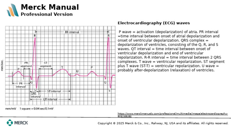 Electrocardiography (ECG) Waves | PDF