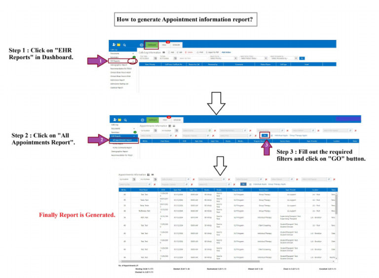 How To Generate Appointment Information Report | PDF