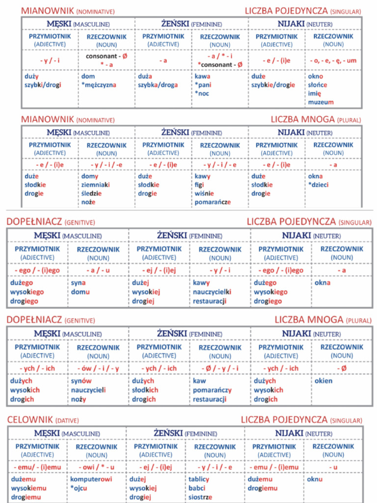 Polish Grammar | PDF