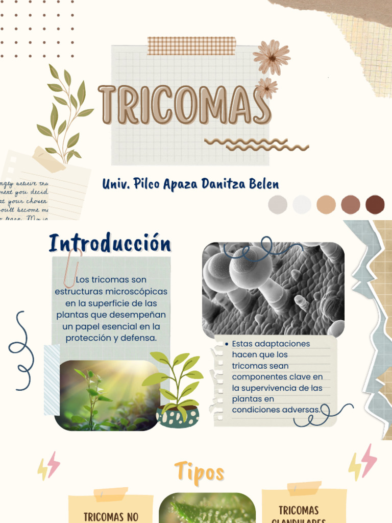 Tricomas: Defensa y Protección Vegetal | PDF | Herbívoro