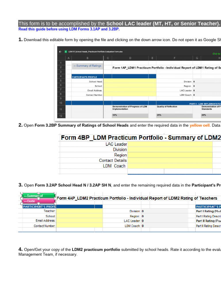 LDM Form 3.2P - Teachers' Practicum Portfolio Evaluation Form | PDF | Computing