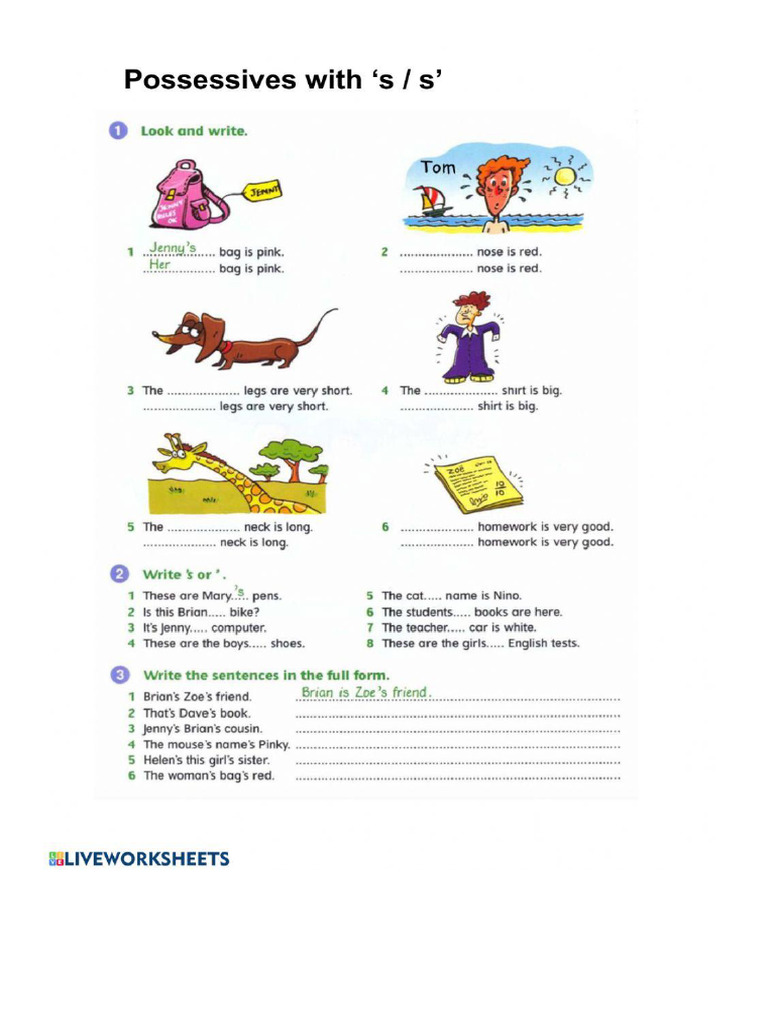 Possessives With S | PDF