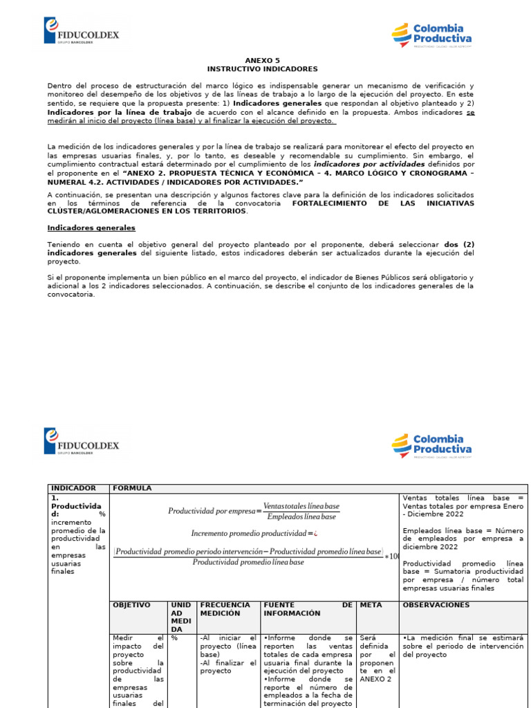 ANEXO 5 - Instructivo indicadores | PDF | Exportaciones | Sustentabilidad