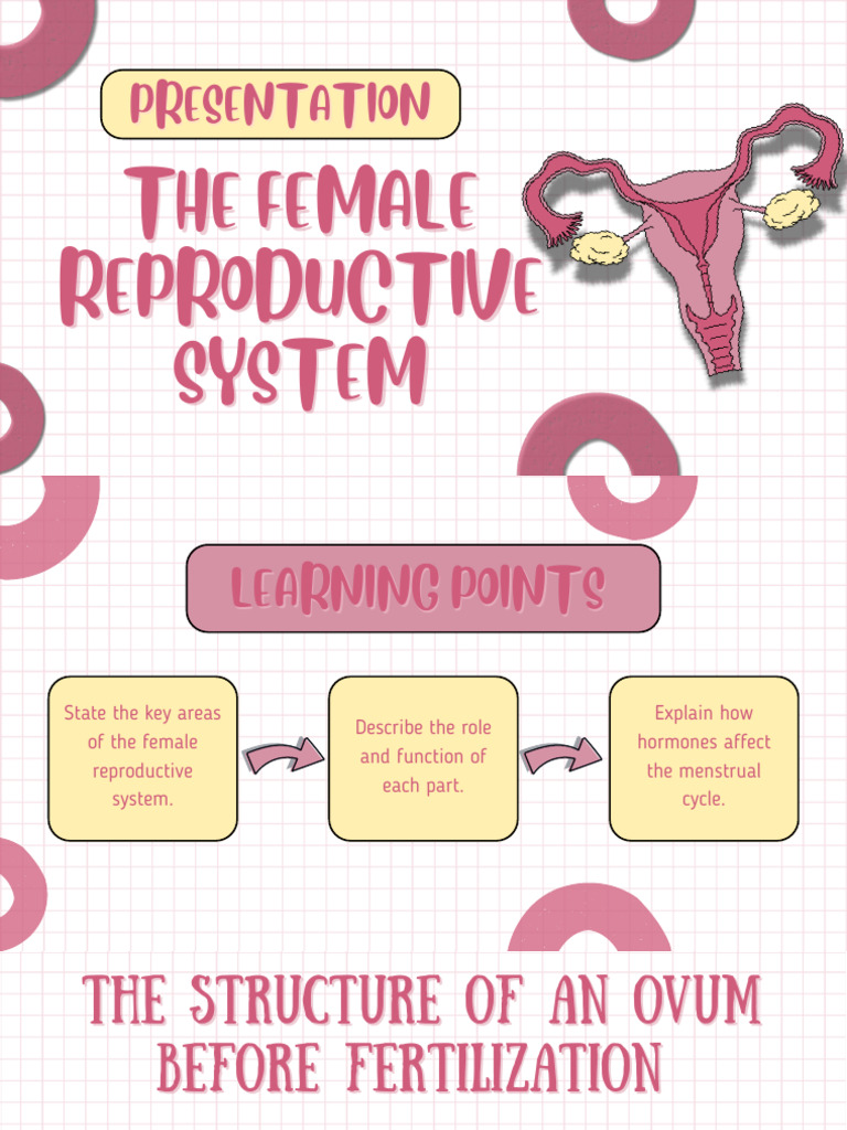 Overview of the Female Reproductive System | PDF | Menstrual Cycle ...
