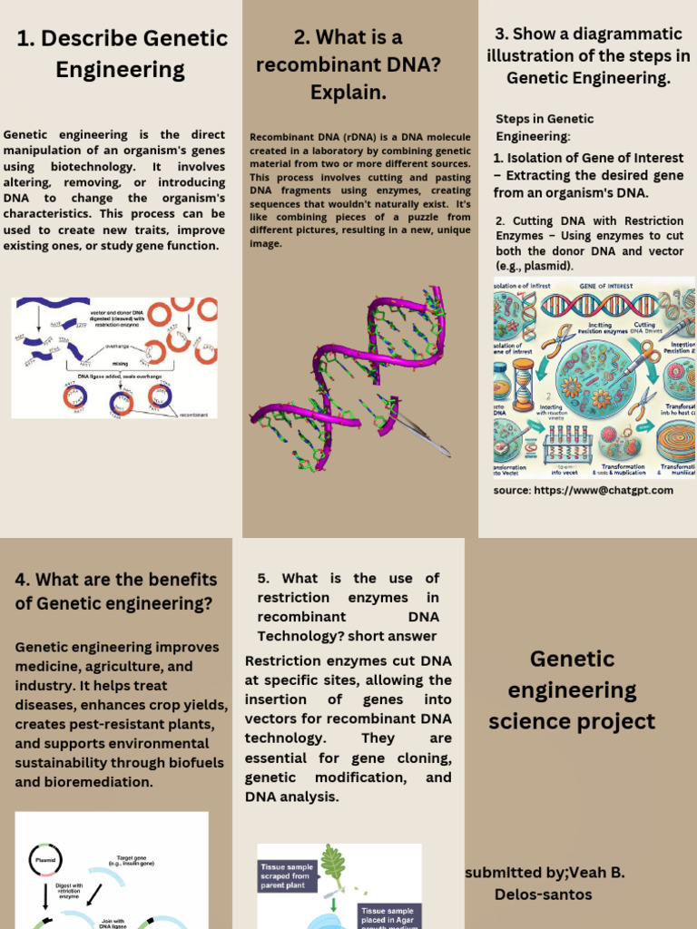 Brown Modern Interior Trifold Brochure - 20250213 - 081540 - 0000 | PDF ...